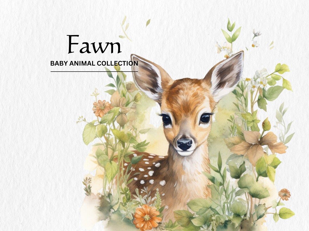 Baby Deer Fawn Clipart, 8 High Quality Pngs, Watercolor Illustration ...