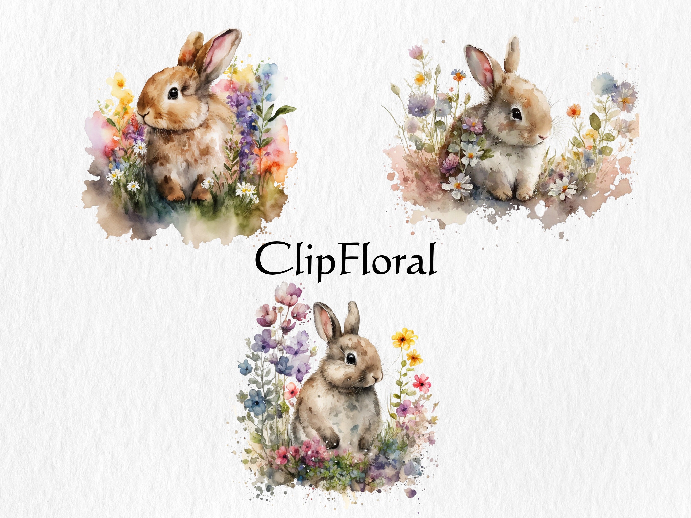 Watercolor Bunny Clipart Bundle Watercolor Bunnies PNG - Etsy