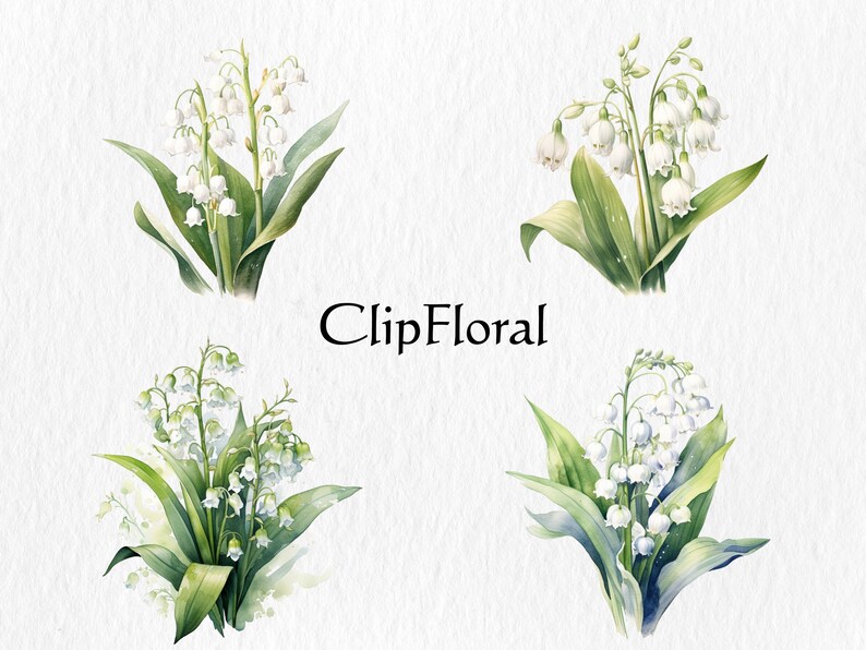 Watercolor Lily of the Valley Clipart Bundle Watercolor Lily - Etsy