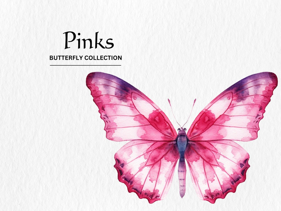 Watercolor Butterflies Clipart Bundle Watercolor Butterflies Pink Red ...