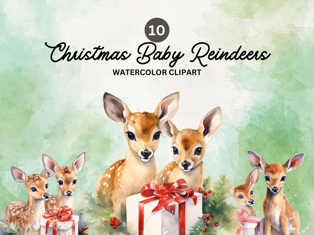 Christmas Baby Reindeer Clipart: 10 PNG Illustrations (digital Download ...