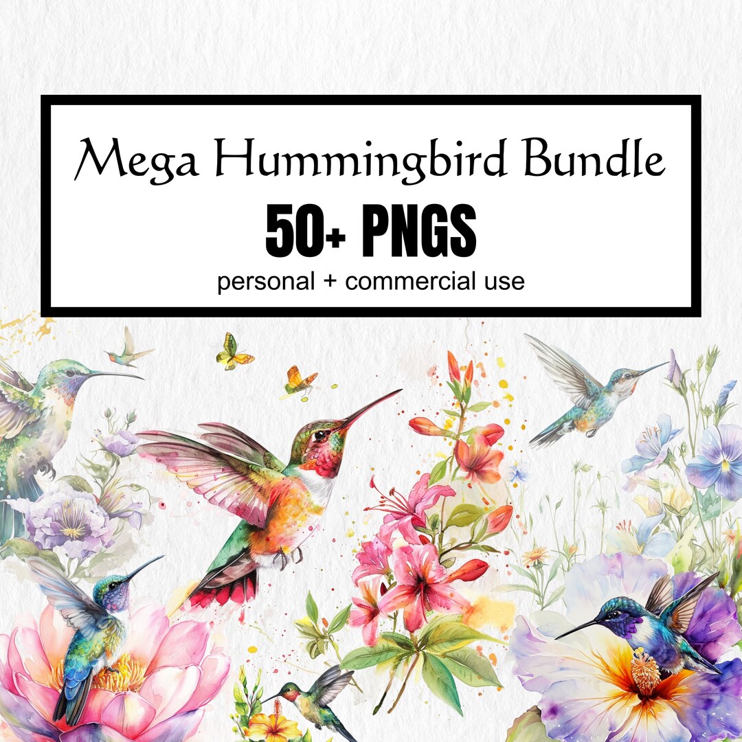50 Mega Hummingbird PNG Bundle, Watercolor Hummingbird PNG Clipart ...