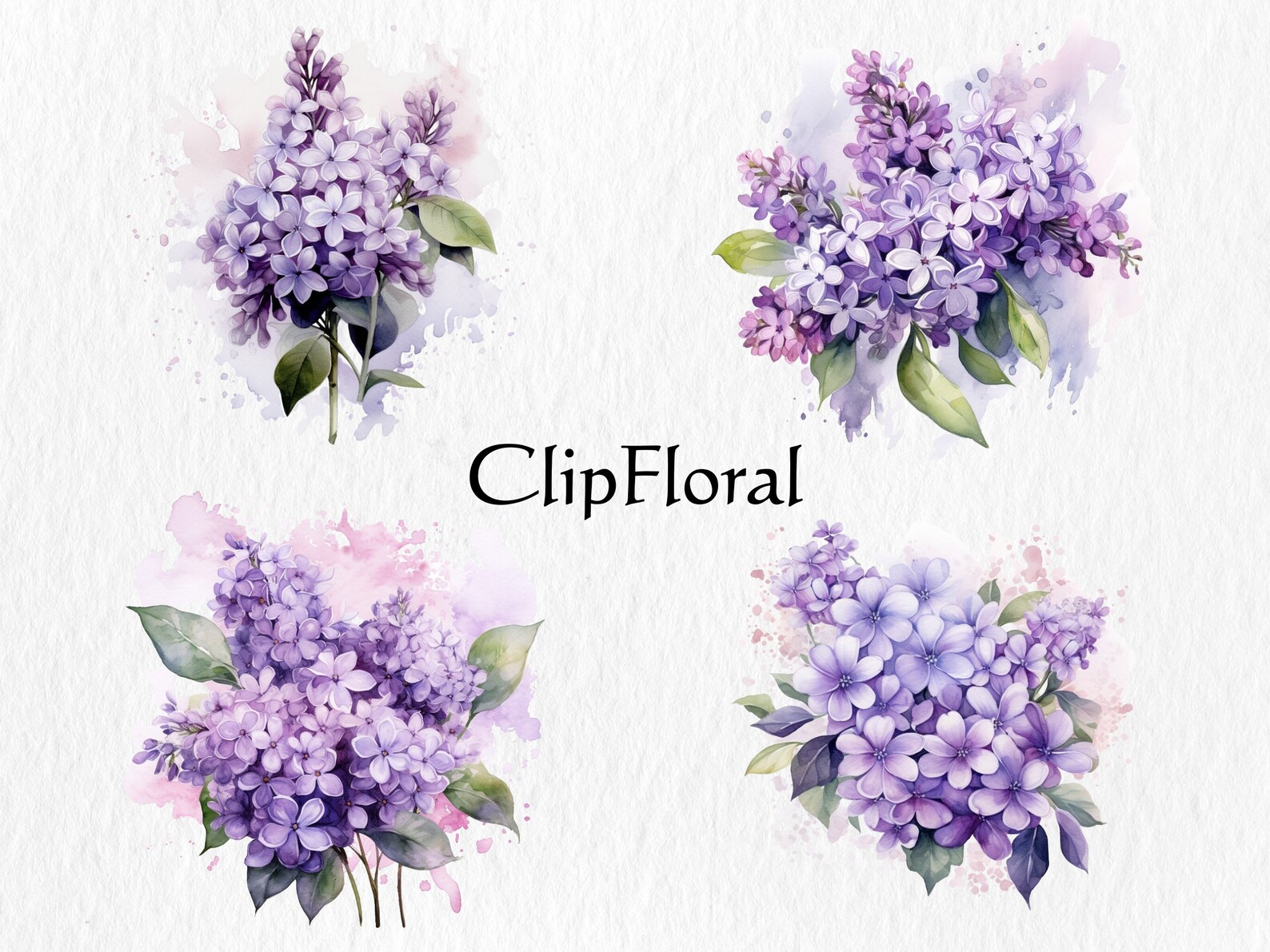 Watercolor Lilac Flower Clipart Bundle (PNG Digital Download) - Etsy