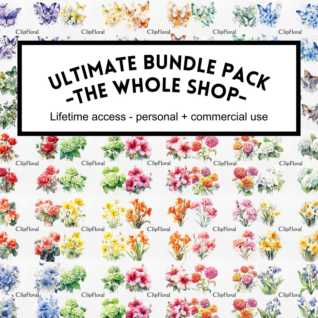 Watercolor Clipart & Digital Paper Bundle: Floral PNG, Commercial Use ...