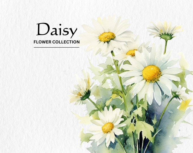 Daisy Flowers, Watercolor, 3 Hi-res JPEG - Etsy Canada
