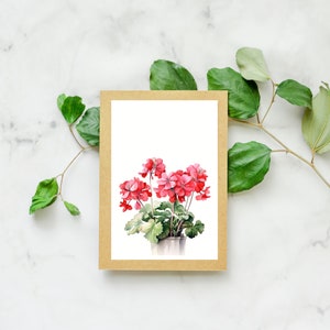 Watercolor Geranium Flowers Clipart Bundle - Watercolor Geranium ...