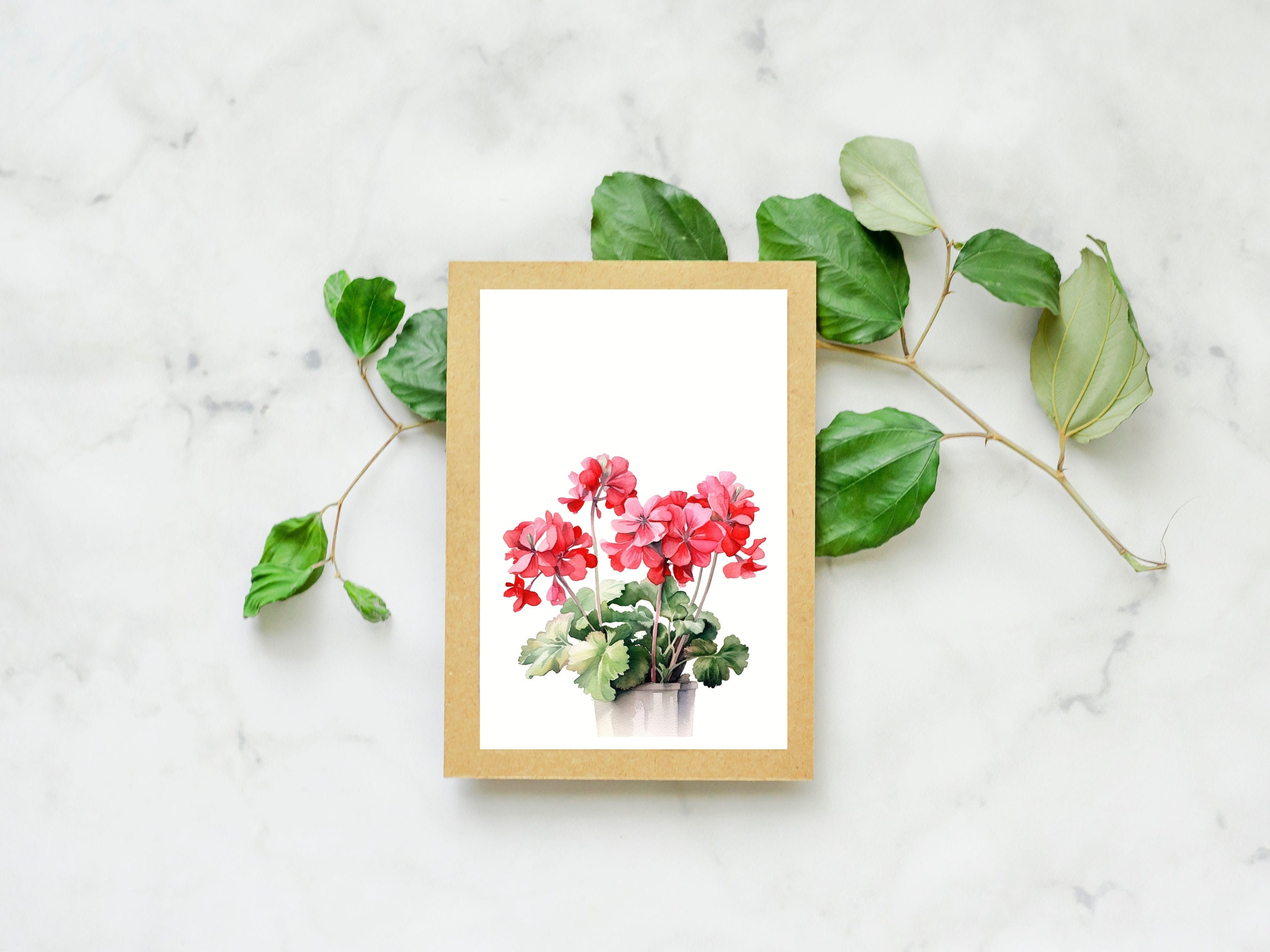 Watercolor Geranium Flowers Clipart Bundle (PNG Digital Download) - Etsy