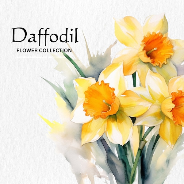 Daffodil Art - Etsy