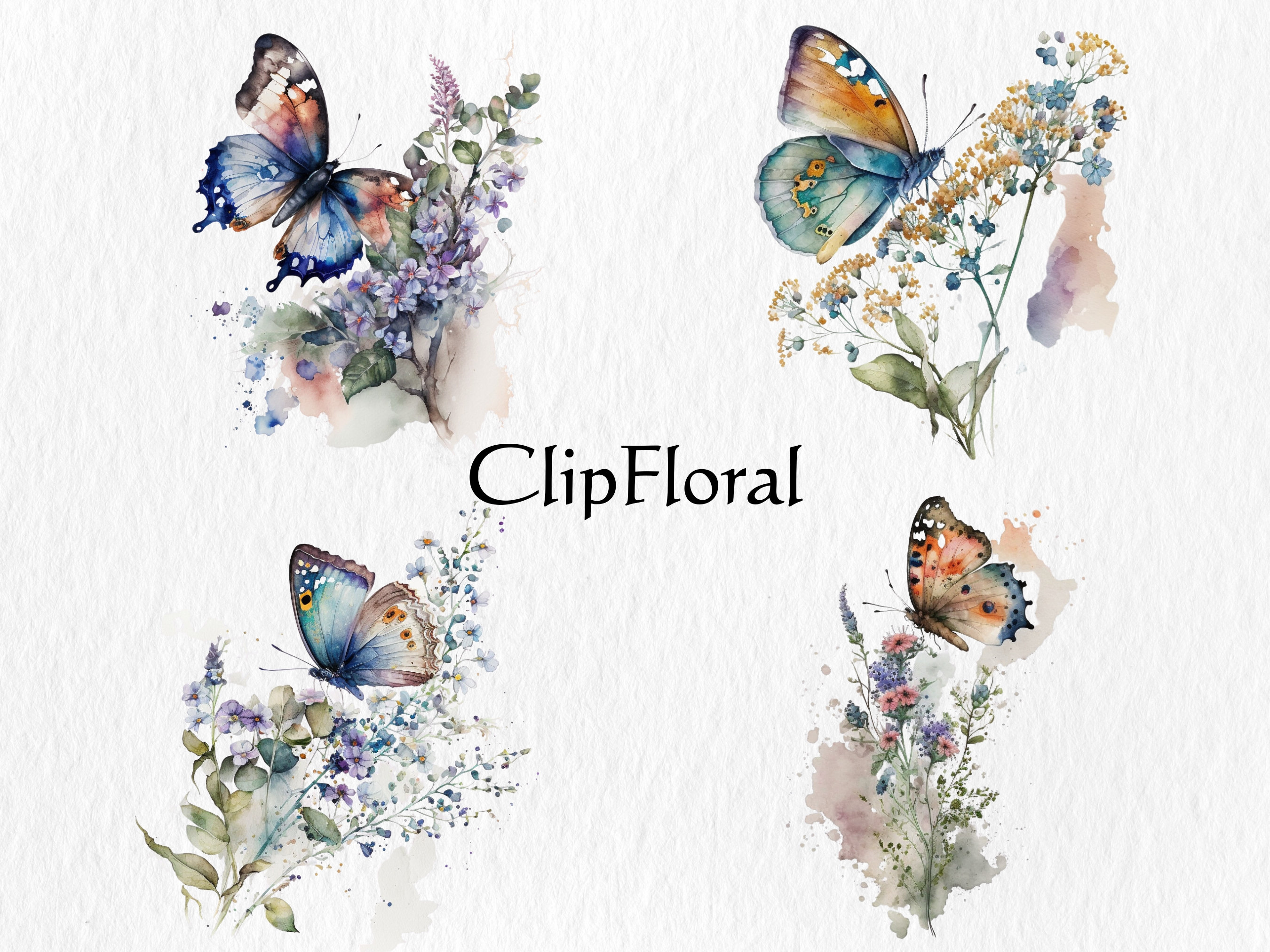 Watercolor Butterflies Clipart Bundle Watercolor Beautiful Butterflies ...