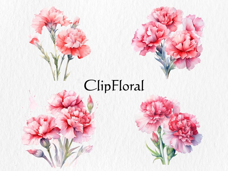 Watercolor Carnation Flowers Clipart Bundle Watercolor - Etsy
