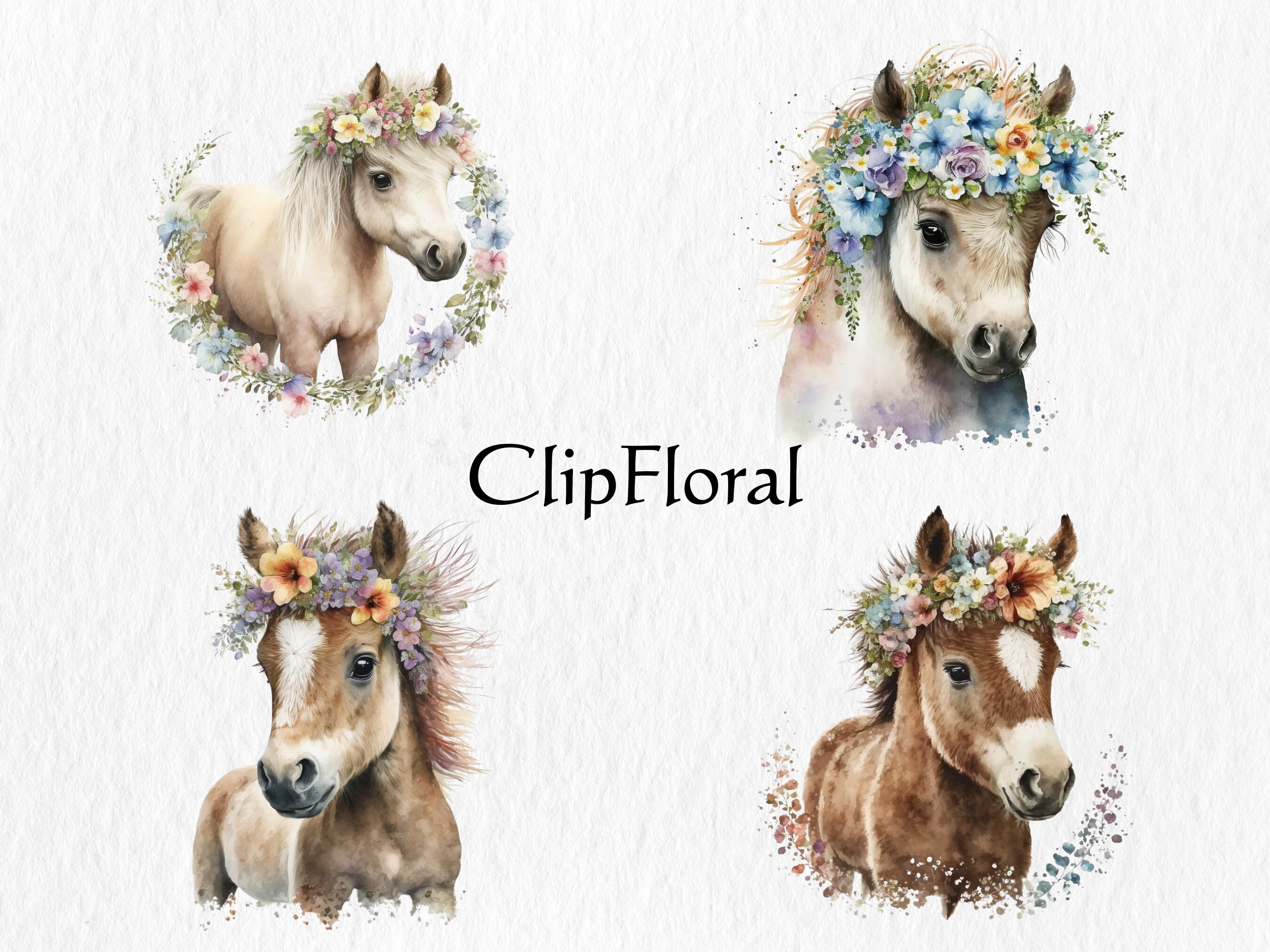 Watercolor Horse Clipart Bundle Watercolor Baby Horse PNG - Etsy
