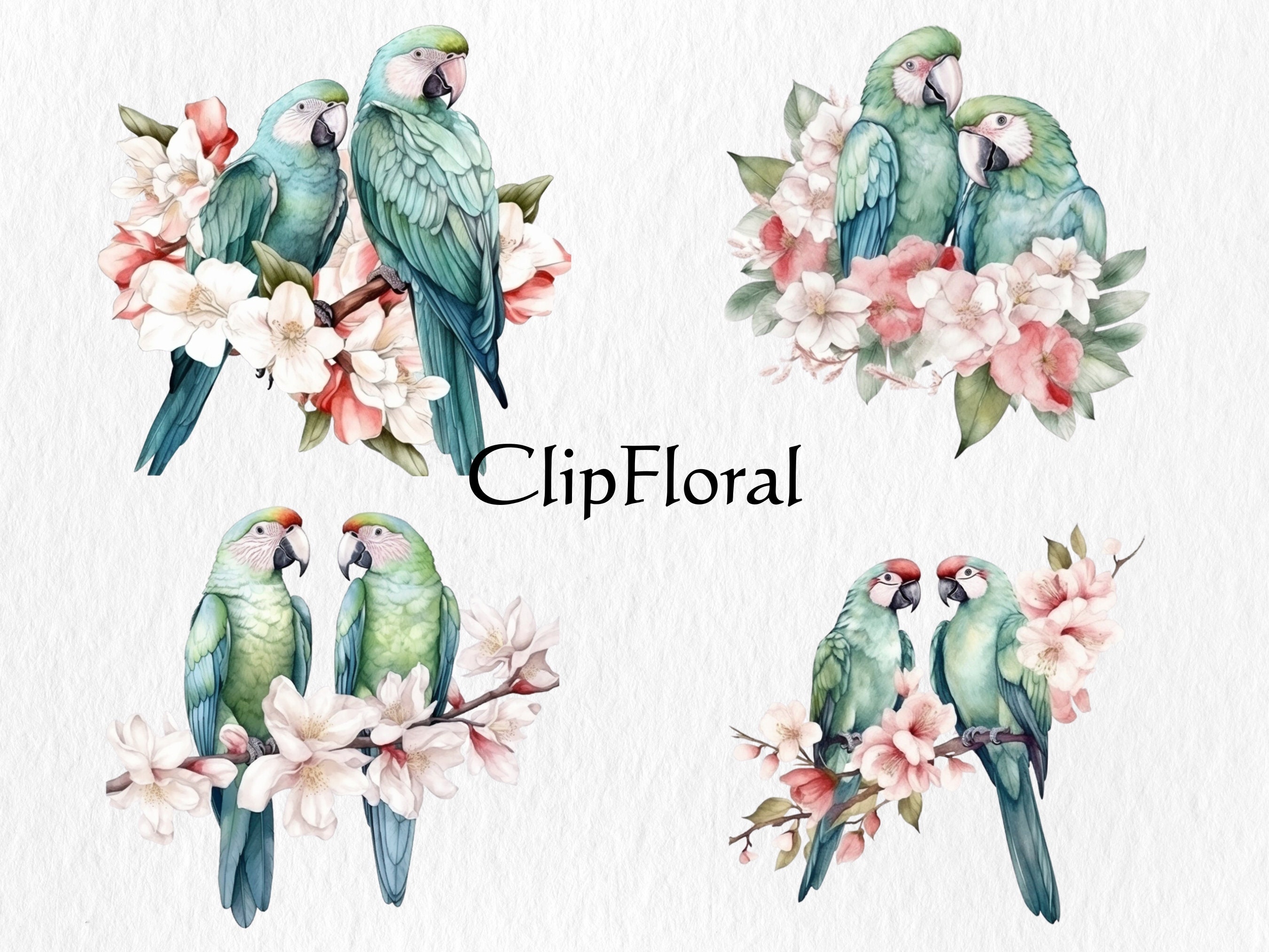 Macaw Parrots Clipart, 8 High Quality Pngs, Nursery Art, Digital ...