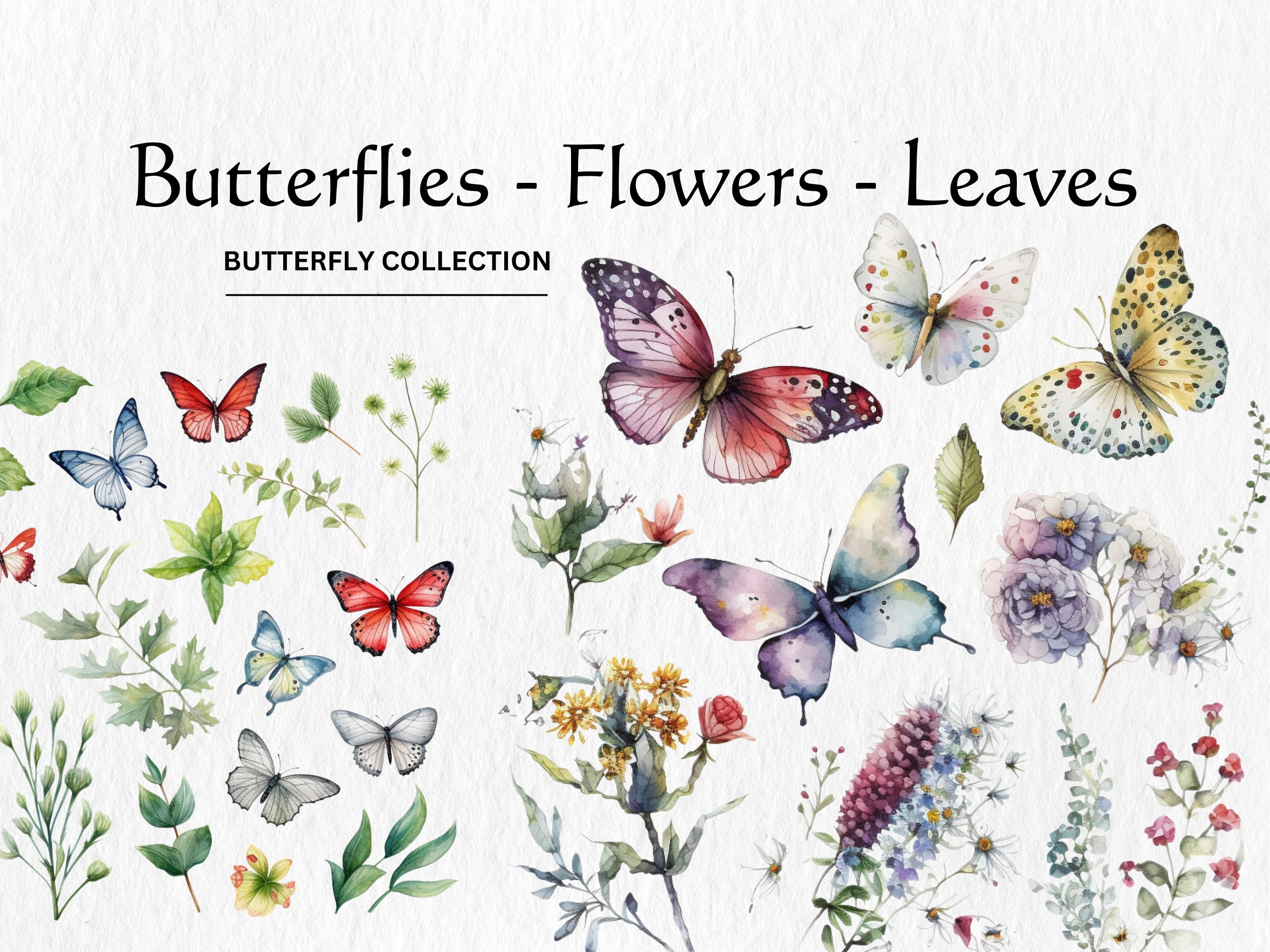 Watercolor Butterflies Clipart Bundle Assortment of Butterflies Flowers ...