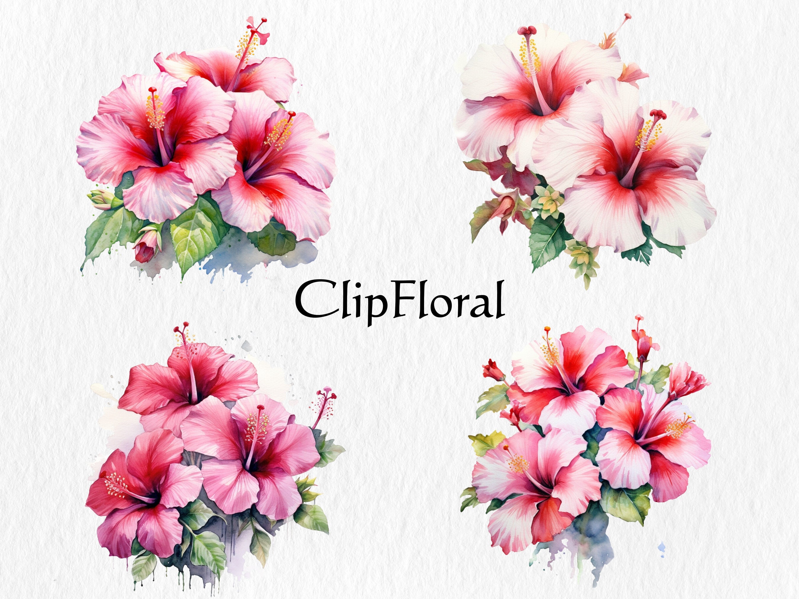 Watercolor Hibiscus Flowers Clipart Bundle Watercolor - Etsy