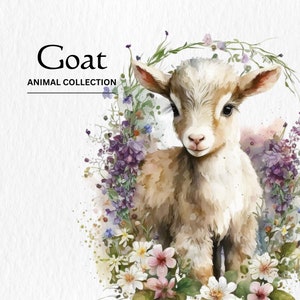 Watercolor Goat Clipart Bundle - Watercolor Baby Goats PNG Format ...