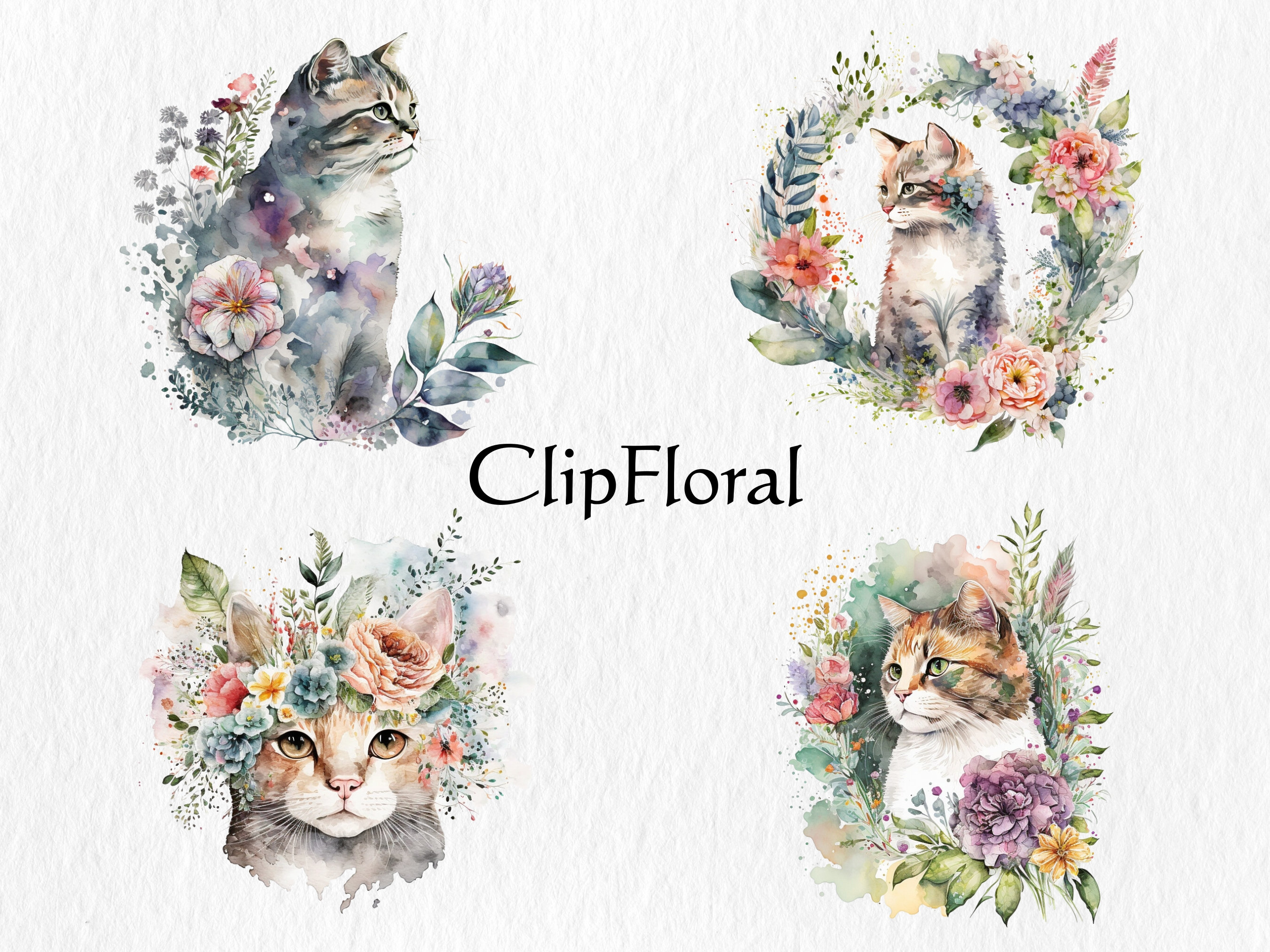 Watercolor Cat Clipart Bundle Watercolor Cat PNG Format - Etsy