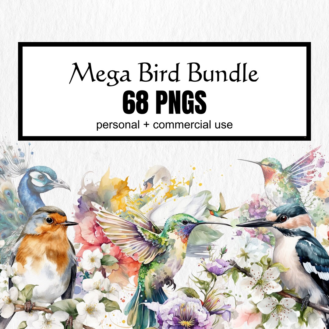 68 PNG Bird Mega Bundle Clipart, Watercolor Beautiful Birds ...