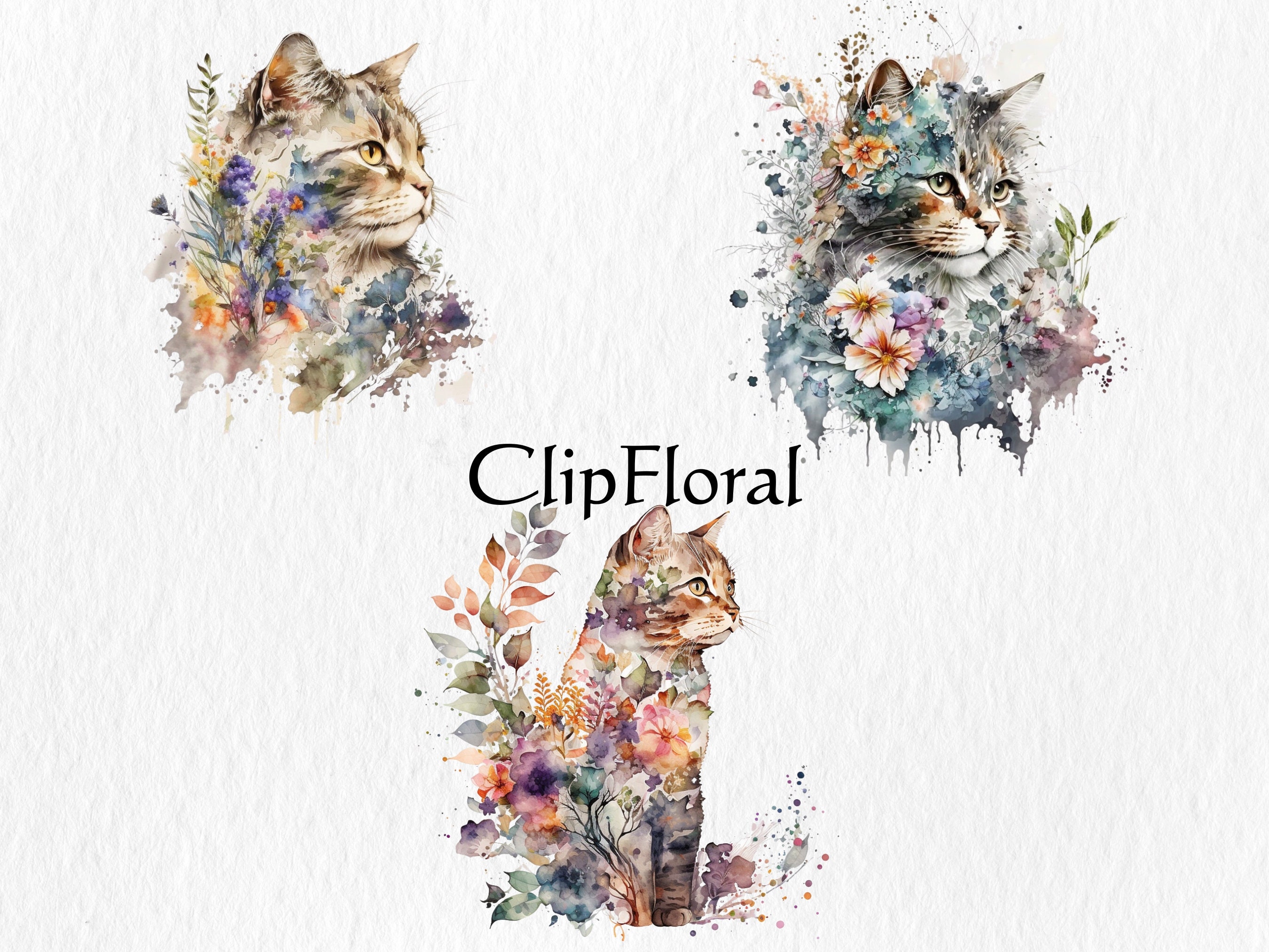 Watercolor Cat Clipart Bundle – PNG Digital Download - Etsy