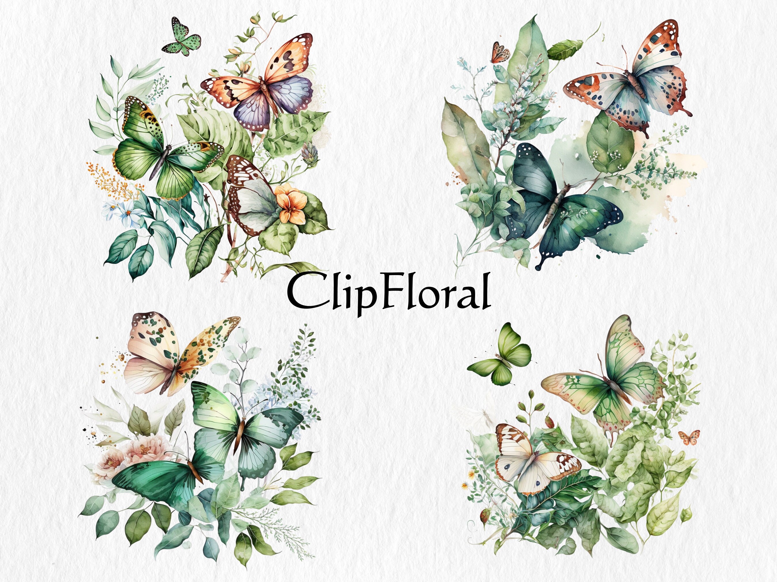 Watercolor Butterflies Clipart Bundle Watercolor Butterflies Floral ...