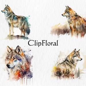 Watercolor Wolf Clipart Bundle - Watercolor Wolves PNG Format Instant ...