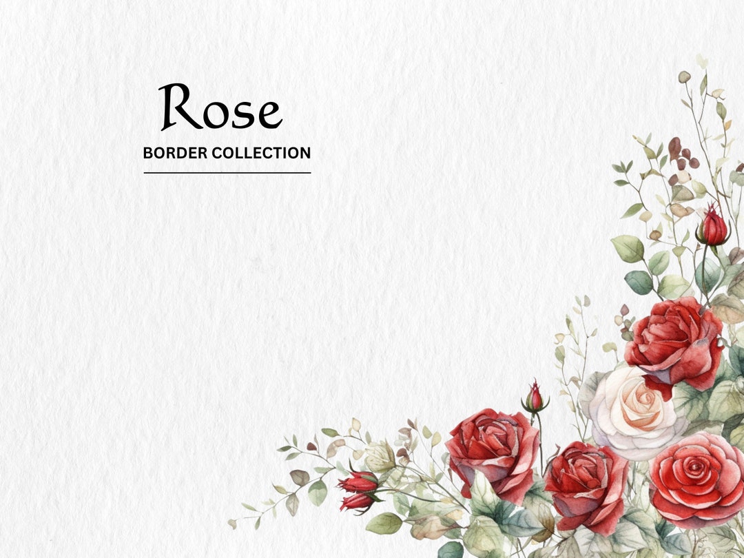 Watercolor Rose Border Clipart Bundle: PNG Floral Design (digital ...