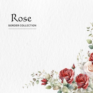 Watercolor Rose Border Clipart Bundle: PNG Floral Design (digital ...