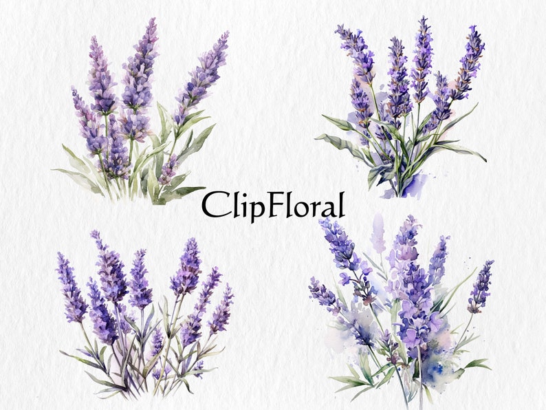 Watercolor Lavender Flowers Clipart Bundle Watercolor - Etsy