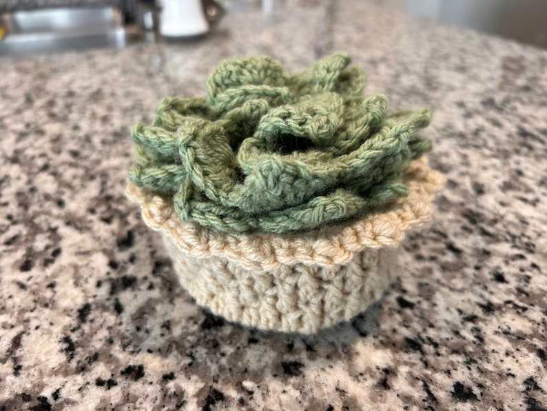 Crochet Succulent Coaster Pattern - Etsy