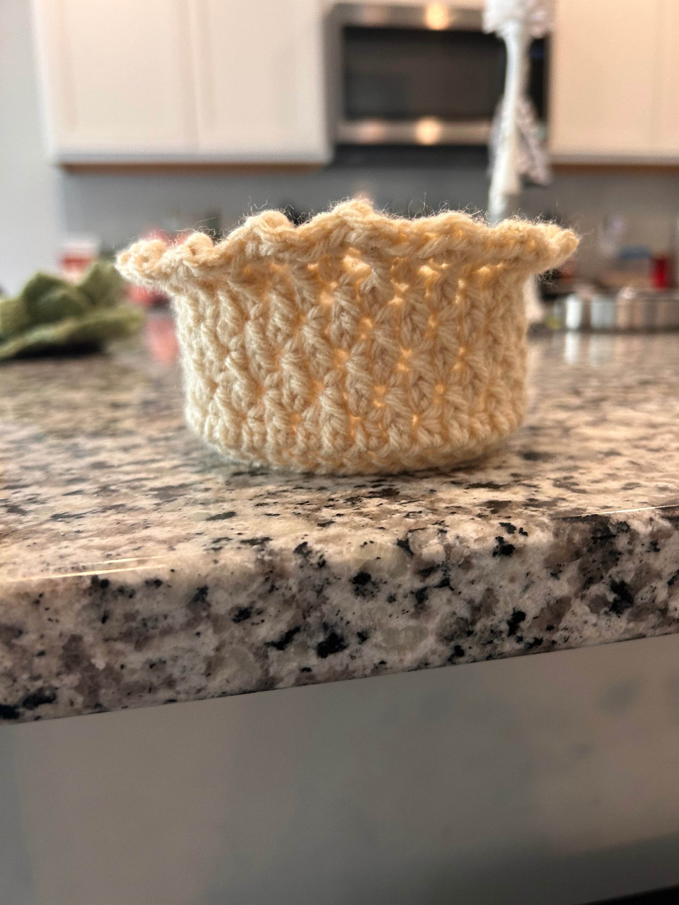 Crochet Succulent Coaster Pattern - Etsy