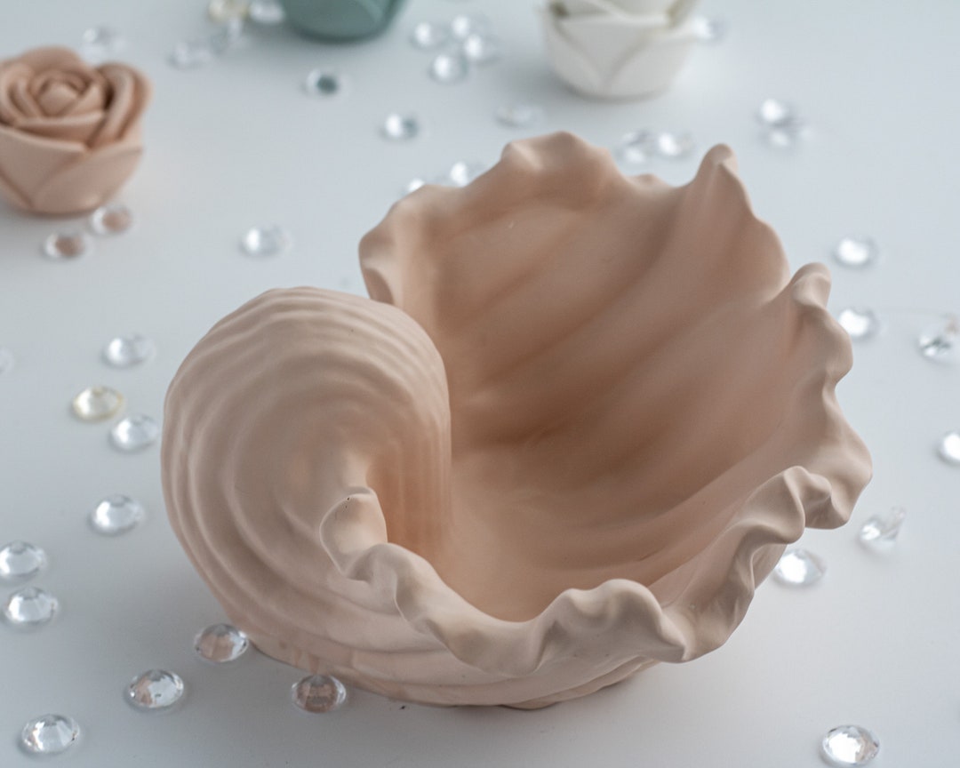 Conch Shell Ornament Bowl | Jewellery Holder | Business Card Holder ...