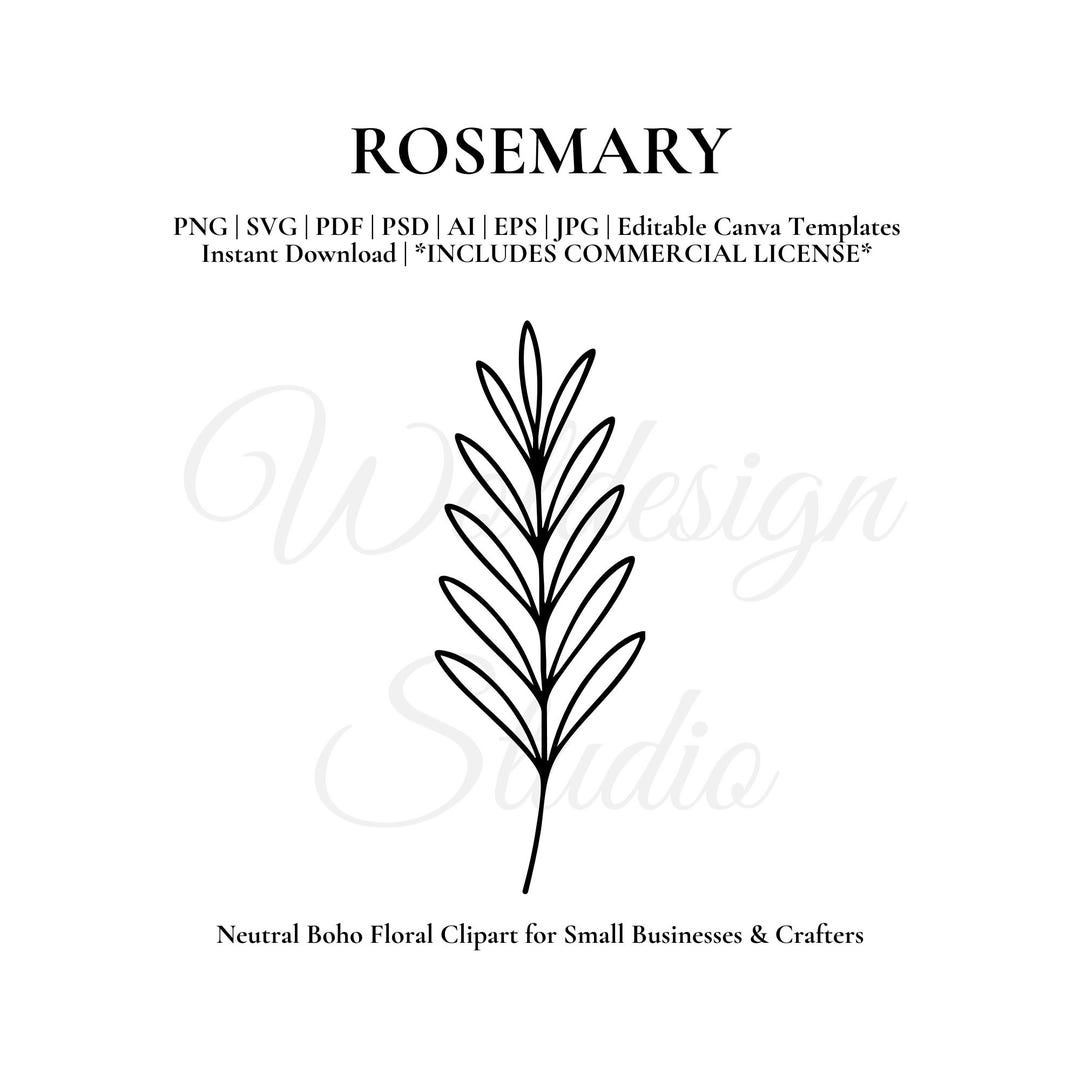 Boho Rosemary SVG Herb Clipart Minimalist Line Art Neutral Botanical ...