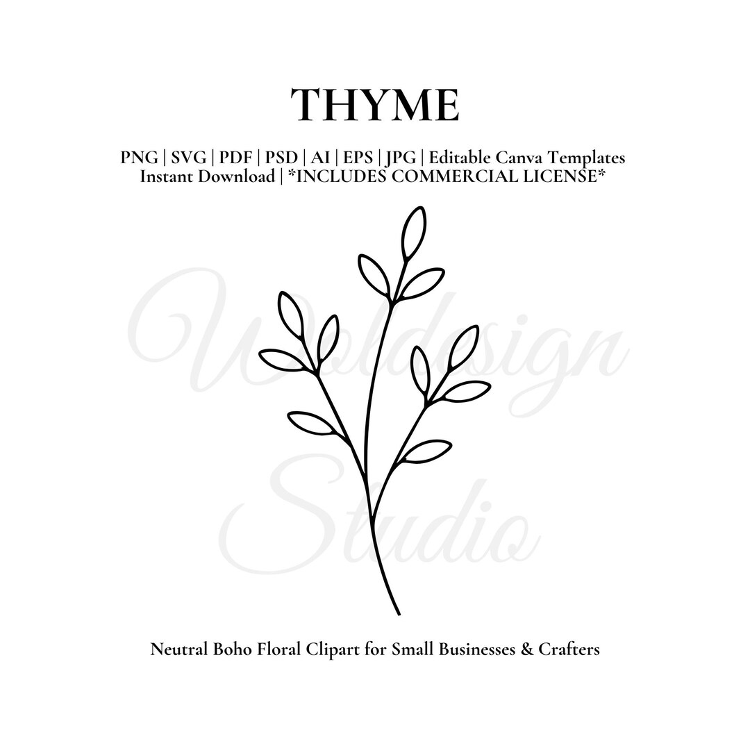 Thyme Herb SVG Minimalist Botanical Line Art Editable Plant Clipart ...