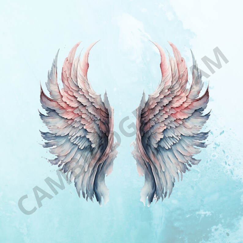 20 Angel Wings Watercolor Clipart Png, Angel Wings Сlip Art, Cute Angel ...
