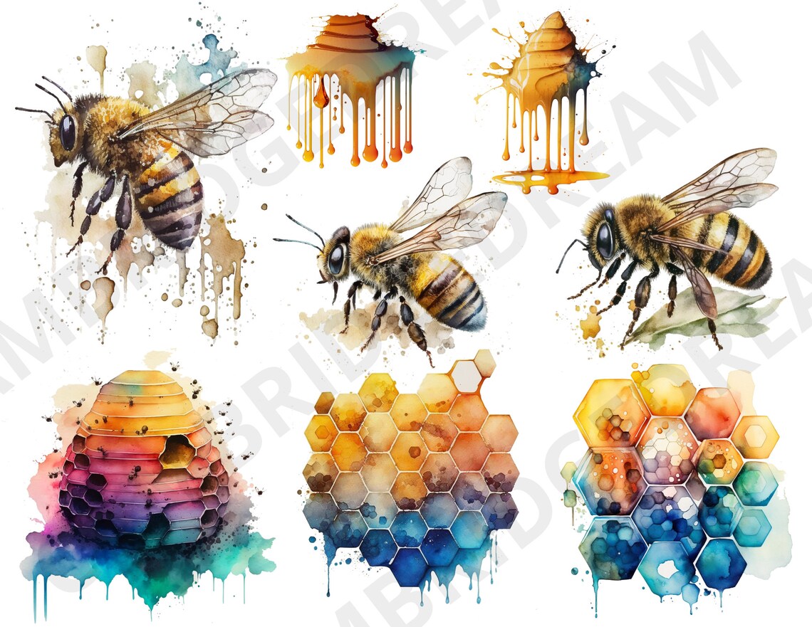 29 Watercolour Honey Bee Clipart, Spring Garden Bee and Honey Clip Art ...