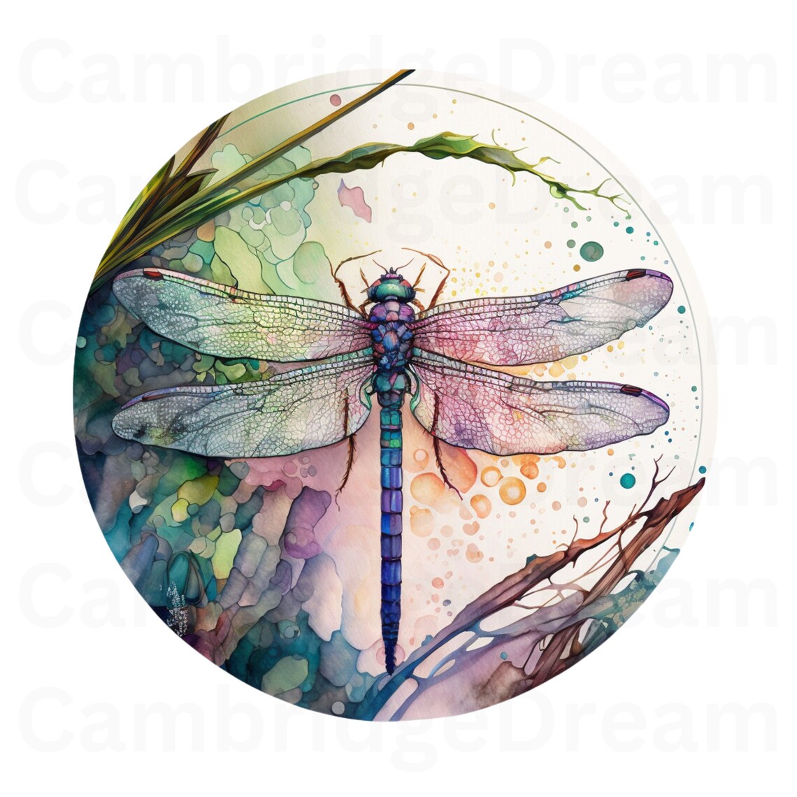 Watercolour Dragonfly Round Stained Glass PNG Sublimation Digital ...