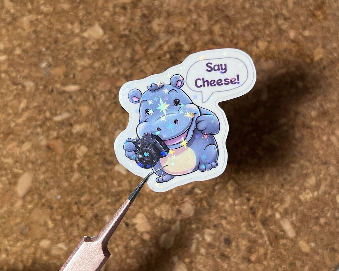 Hippo Sticker, Vinyl Sticker, Say Cheese Sticker, Die-cut Sticker ...
