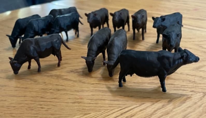 Black Angus Cows! - Etsy