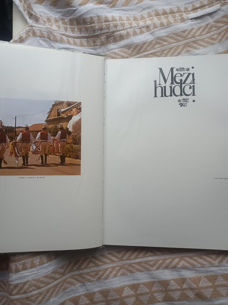 Vintage Lushly Illustrated Photo Hardcover Coffee Table Book Album ...