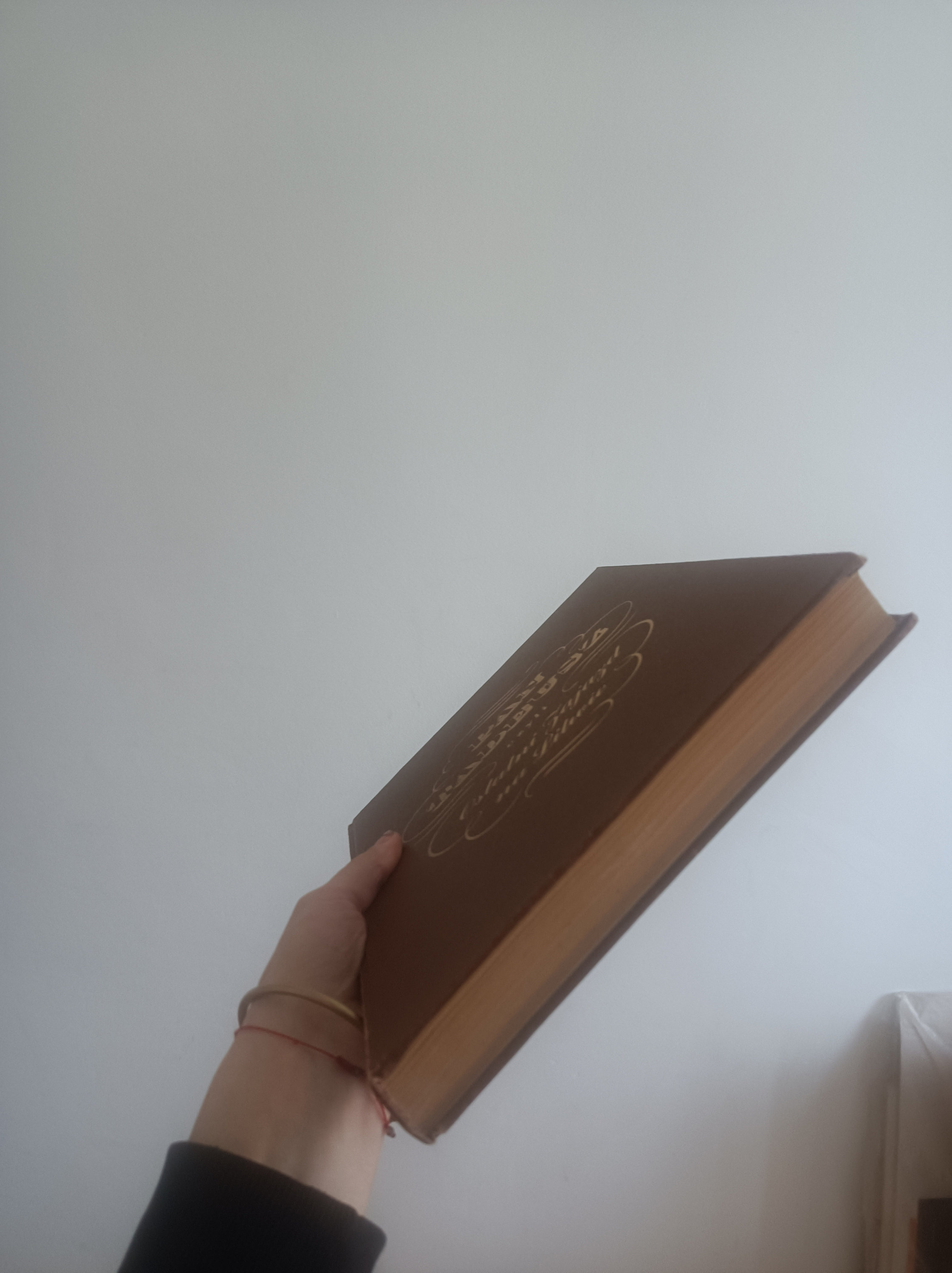 Pan Tadeusz Adam Mickiewicz Mr Tadeusz Vintage Book Poland History ...