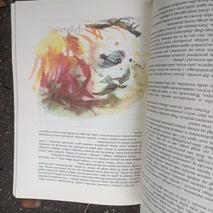 Polish Children Book Selma Lagerlof Swedish Folklore Scandinavian ...