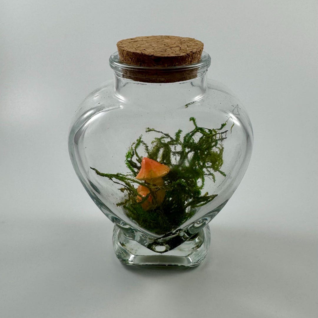 Cottagecore Heart Glass Cork Lid Mushroom Scenes - Etsy