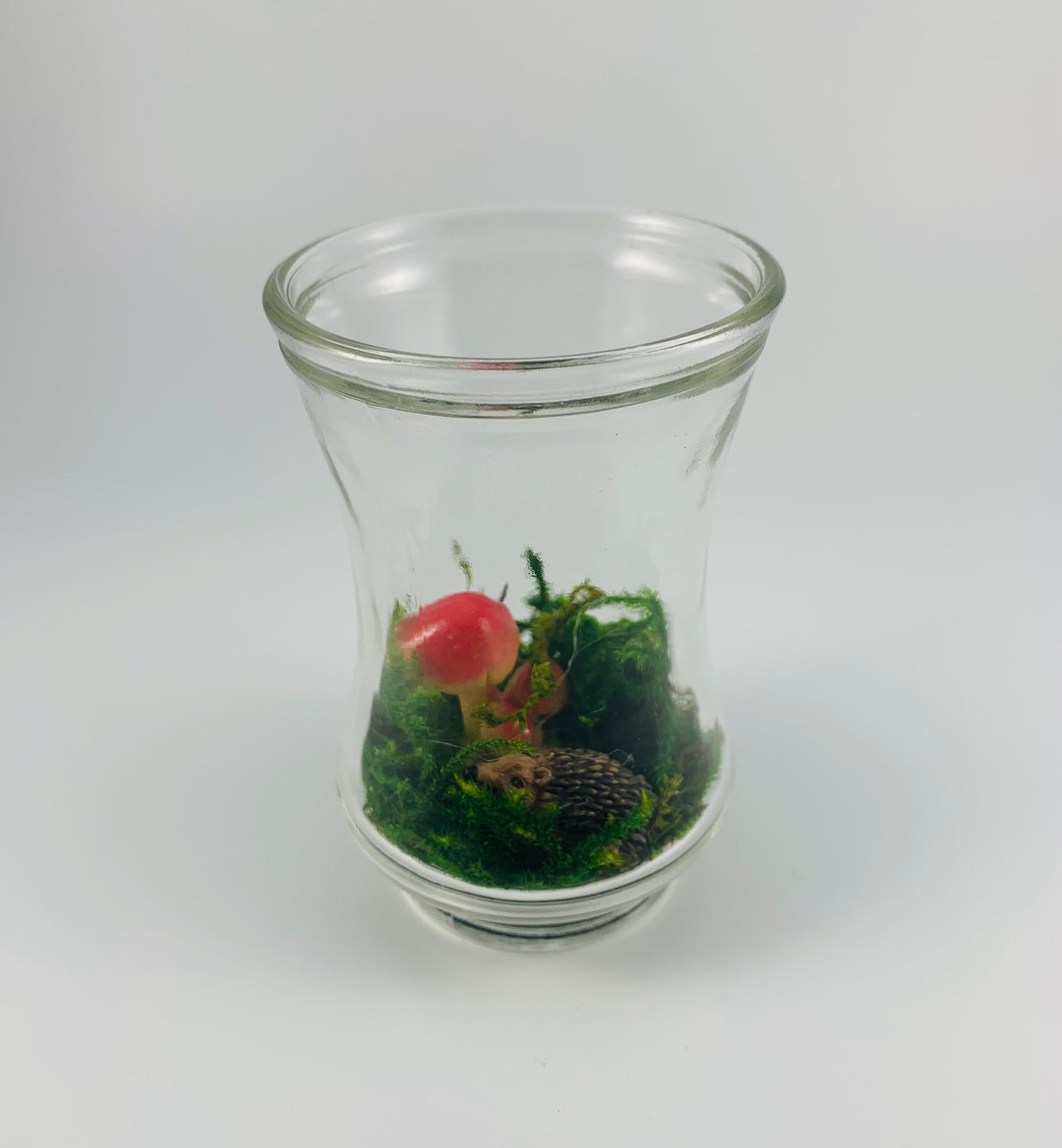Tiny Mushroom and Hedgehog Cottagecore Terrarium - Etsy