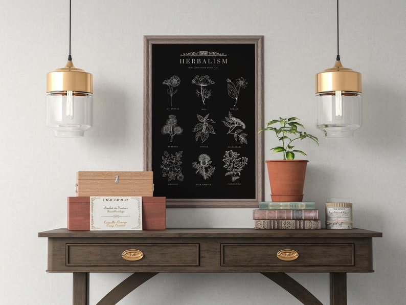 Herbal Poster for a Vintage Apothecary, Herbs and Spices Poster Print ...