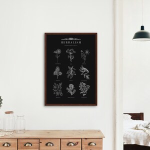 Herbal Poster for a Vintage Apothecary, Herbs and Spices Poster Print ...
