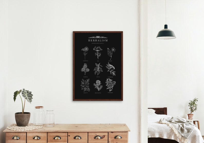Herbal Poster for a Vintage Apothecary, Herbs and Spices Poster Print ...