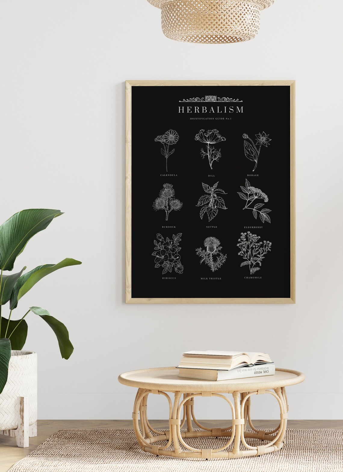 Herbal Poster for a Vintage Apothecary, Herbs and Spices Poster Print ...