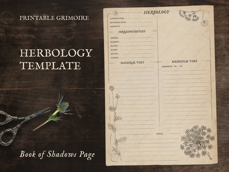 Herbology Template • Grimoire Pages, Book of Shadows Pages, Printable ...