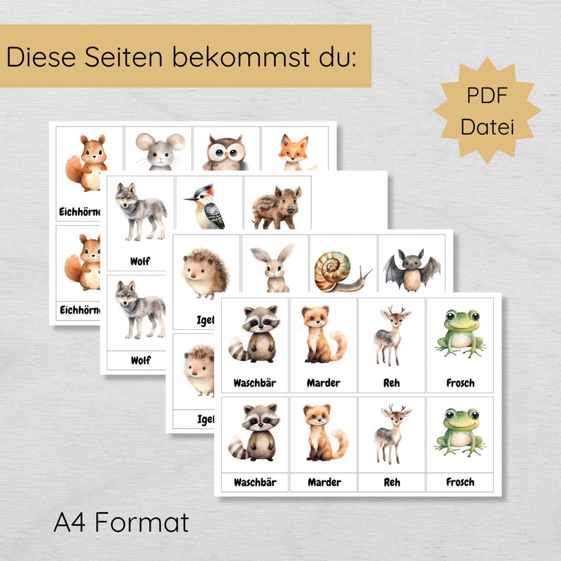 15 Learning Cards With Cute Forest Animals, Three-part Picture Cards ...