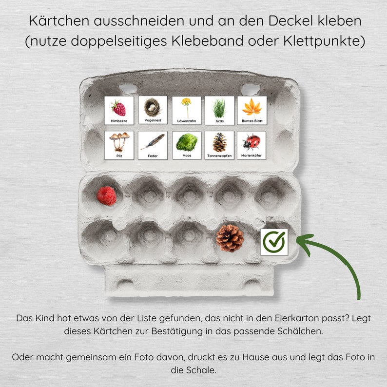 Forest Treasure Hunt in Egg Carton for Children to Print Out, Forest ...