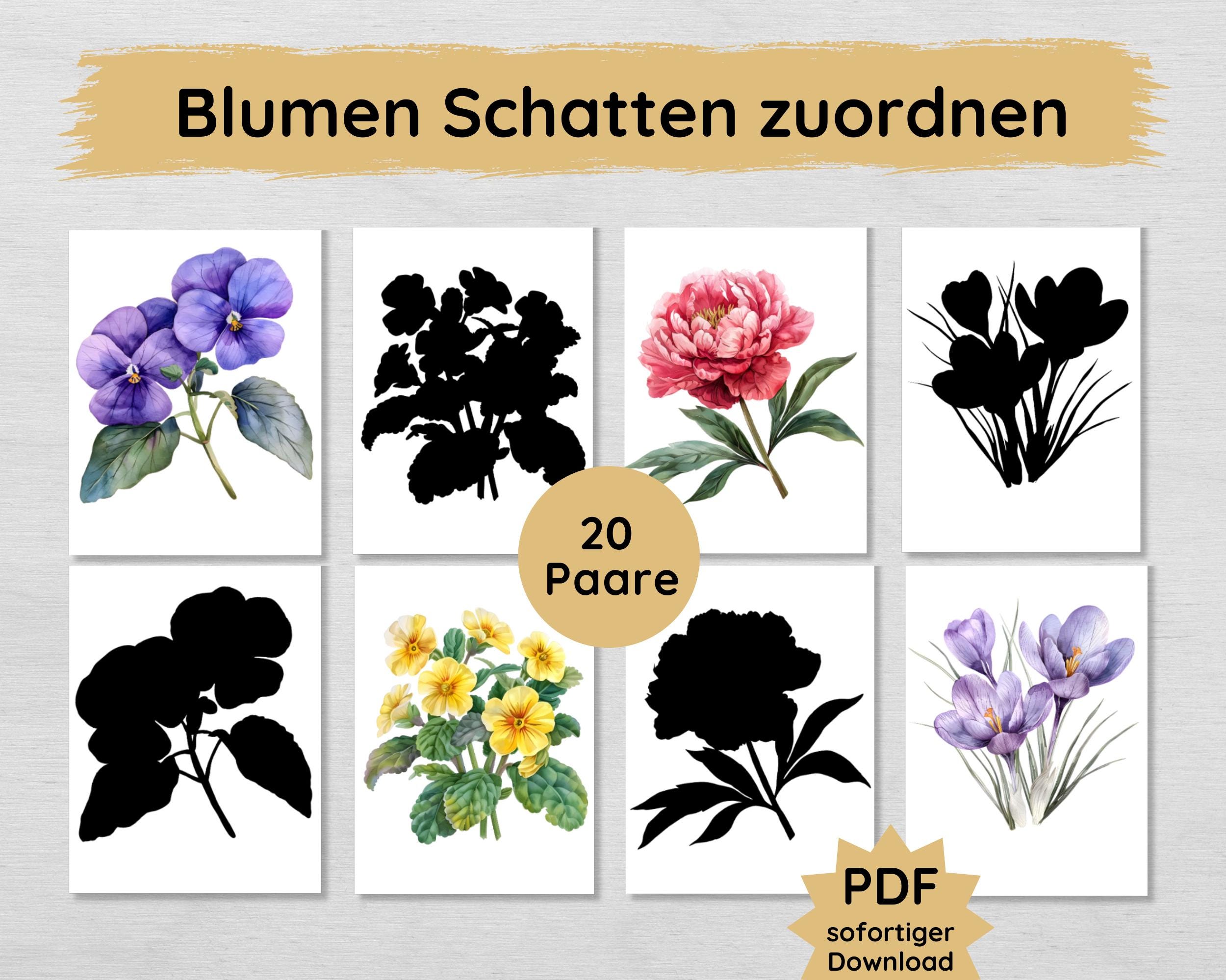 Flower Shadow Matching Game for Children to Print, Spring Flowers ...